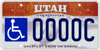 Disabled Person - DMV